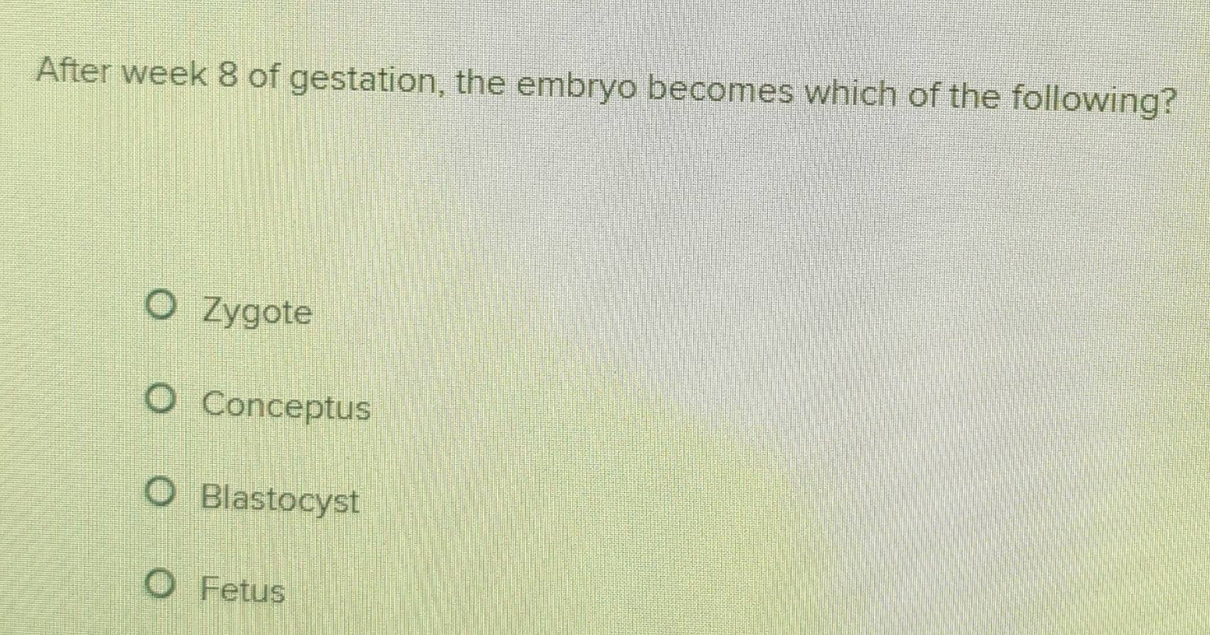 Solved: After week 8 of gestation, the embryo becomes which of the ...