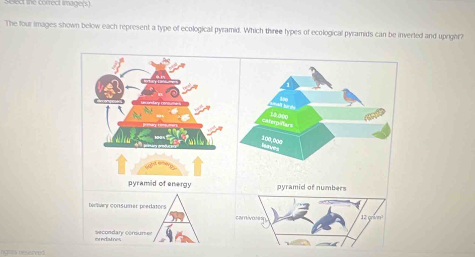 Solved: select the correct image(s). The four images shown below each ...