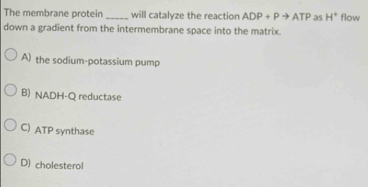 Solved: The membrane protein _will catalyze the reaction ADP+Pto ATP as ...