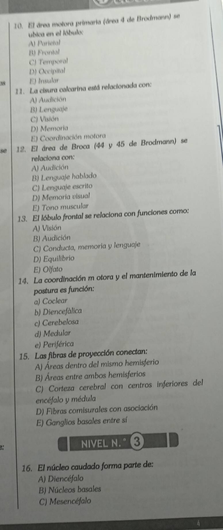 Resuelto:El área motora primaria (área 4 de Brodmann) se ubica en el ...