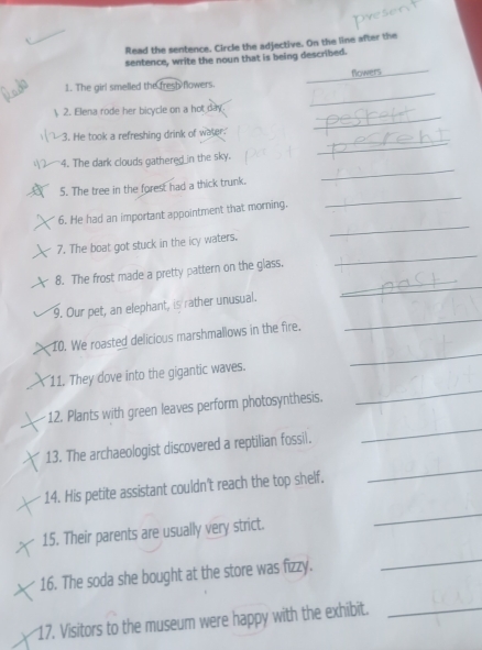 Solved: Read the sentence. Circle the adjective. On the line after the ...