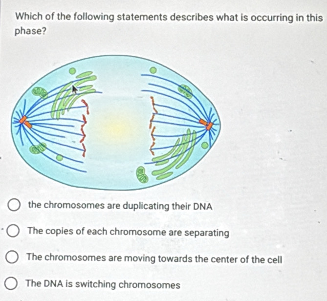Solved: Which of the following statements describes what is occurring ...