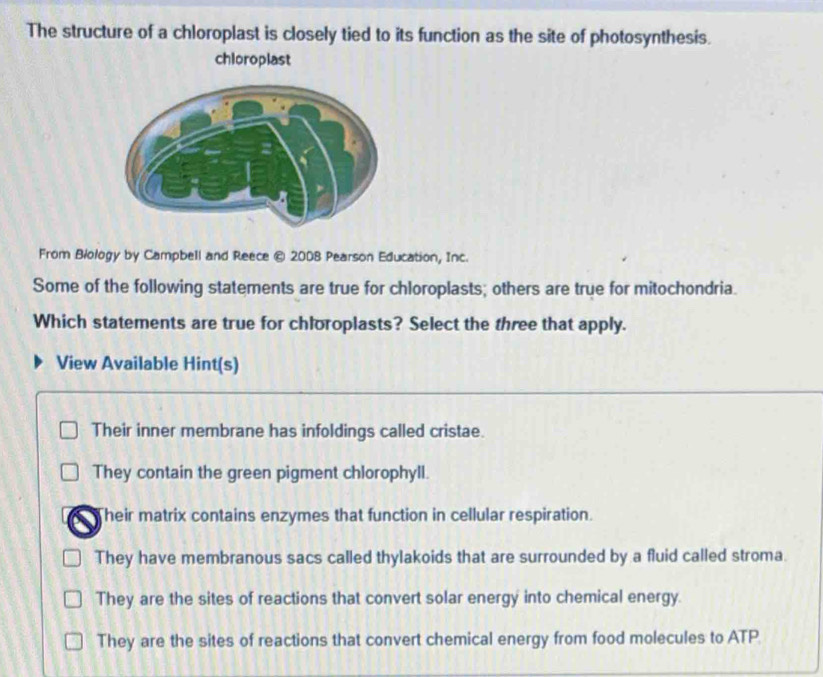 Solved: The structure of a chloroplast is closely tied to its function ...