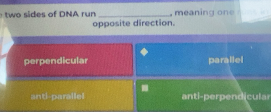 Solved: two sides of DNA run _, meaning one opposite direction ...