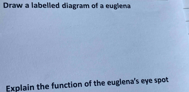 Solved: Draw a labelled diagram of a euglena Explain the function of ...