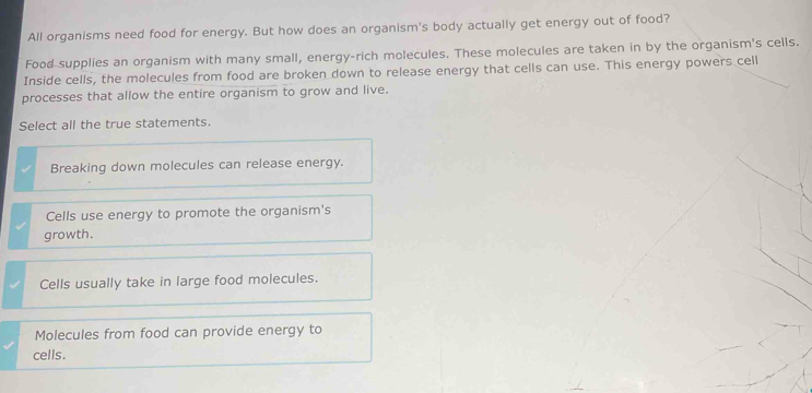 Solved: All organisms need food for energy. But how does an organism's ...