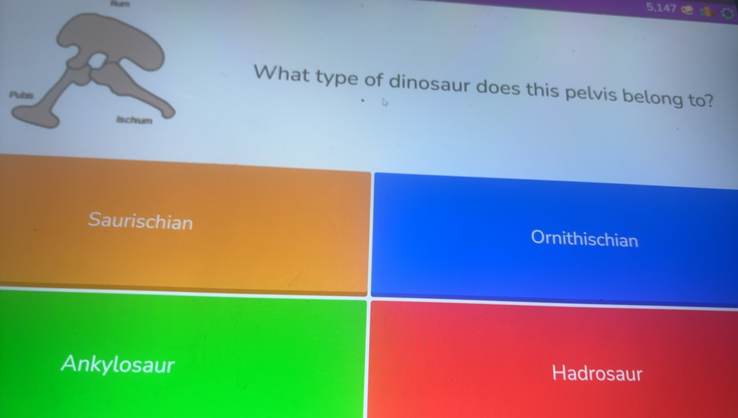 Solved: Hum 5.147 What type of dinosaur does this pelvis belong to ...