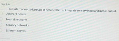 Solved: are interconnected groups of nerve cells that integrate sensory input and motor output ...