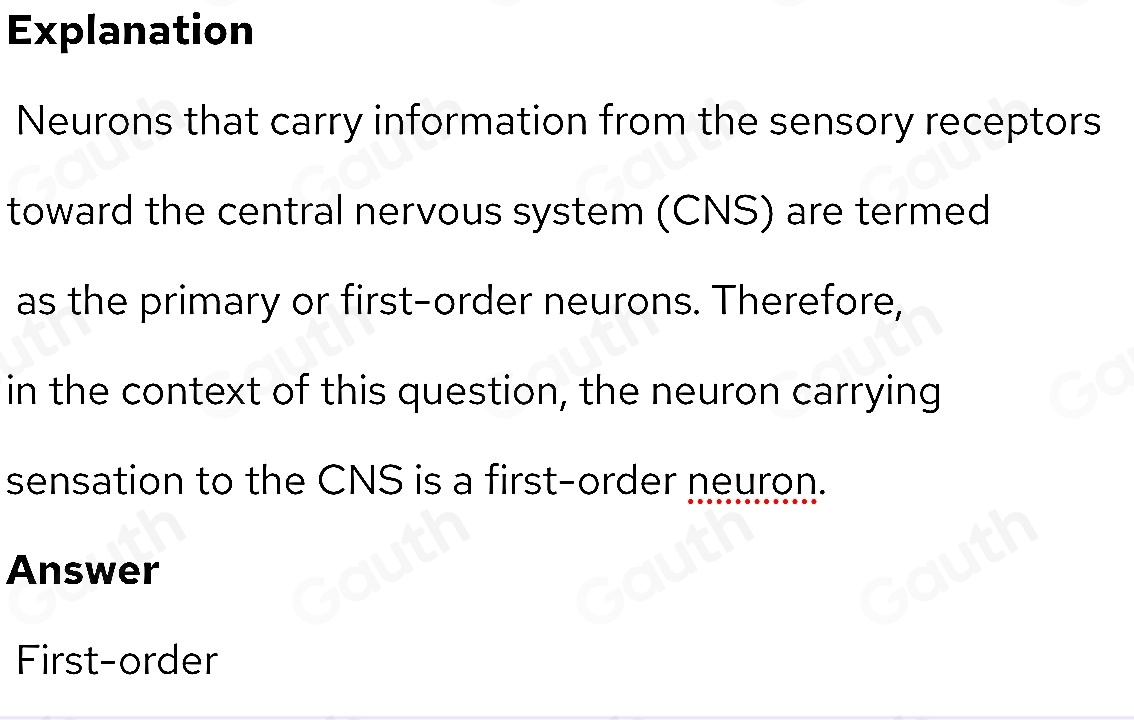 Solved: The afferent neuron that carries the sensation to the CNS is a ...