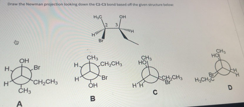 Solved: Draw the Newman projection looking down the C2-C3 bond based ...