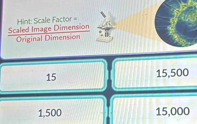 Solved: Hint: Scale Factor = Scaled Image Dimension Original Dimension ...