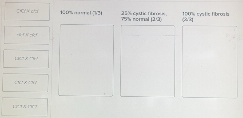 Solved: CfCf X cfcf 100% normal (1/3) 25% cystic fibrosis, 100% cystic ...