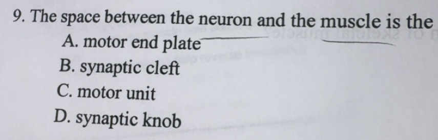 Solved: The space between the neuron and the muscle is the A. motor end ...