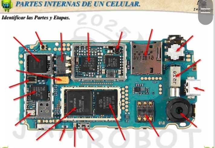 Resuelto:PARTES INTERNAS DE UN CELULAR. JA Identificar las Partes y Etapas.