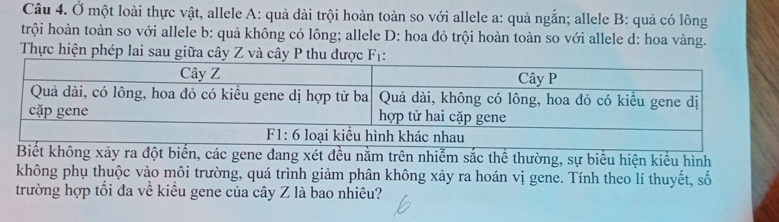 Giải quyết:Ở một loài thực vật, allele A: quả dài trội hoàn toàn so với ...