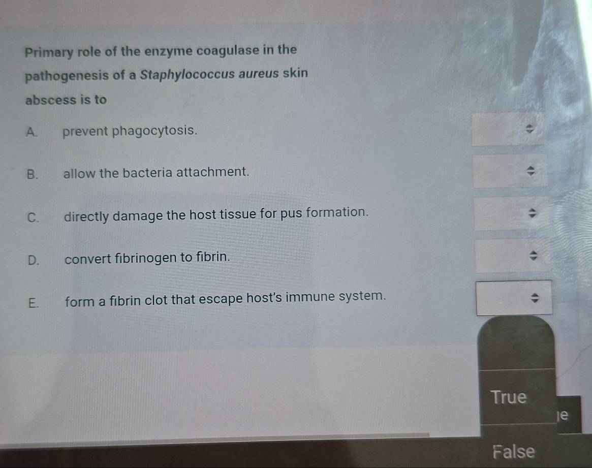 Selesai:Primary role of the enzyme coagulase in the pathogenesis of a ...