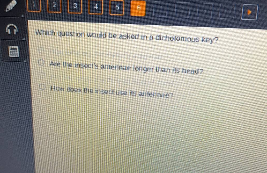 Solved: 1 2 3 4 5 6 Which question would be asked in a dichotomous key ...