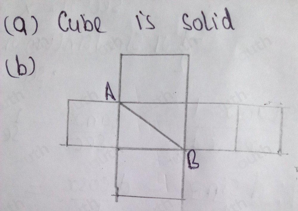 Solved: The diagram shows the net of a solid shape. (a) What is the ...