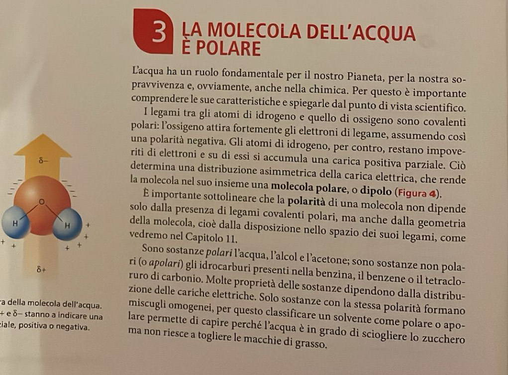 Risolto:LA MOLECOLA DELL’ACQUA È POLARE Lacqua ha un ruolo fondamentale ...