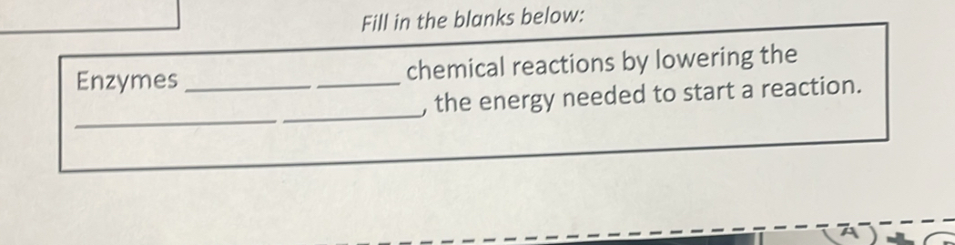 Solved: Fill in the blanks below: Enzymes __chemical reactions by ...