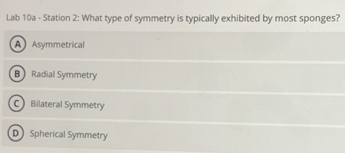 Solved: Lab 10a - Station 2: What type of symmetry is typically ...
