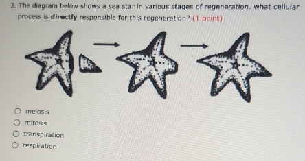 Solved: The diagram below shows a sea star in various stages of regeneration, what cellular ...