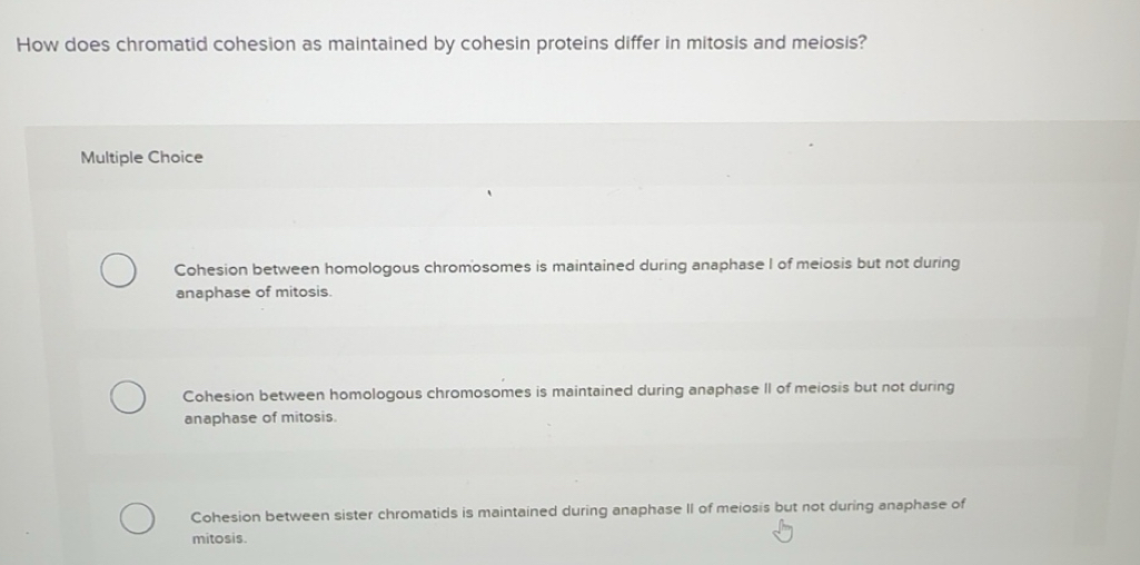 Solved: How does chromatid cohesion as maintained by cohesin proteins ...