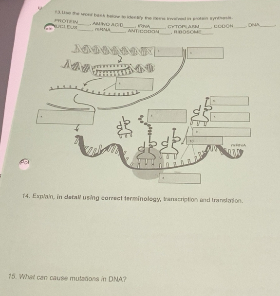 Solved: Use the word bank below to identify the items involved in ...