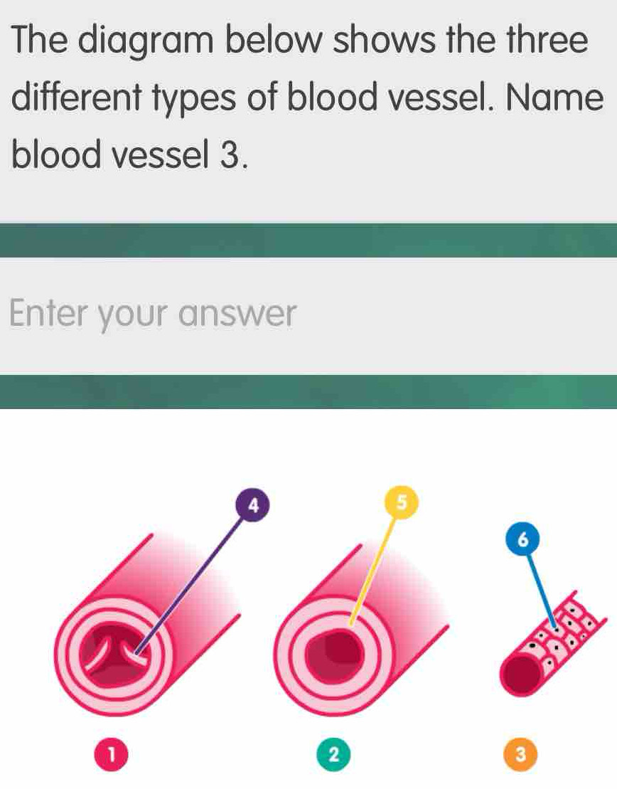 Solved: The diagram below shows the three different types of blood ...