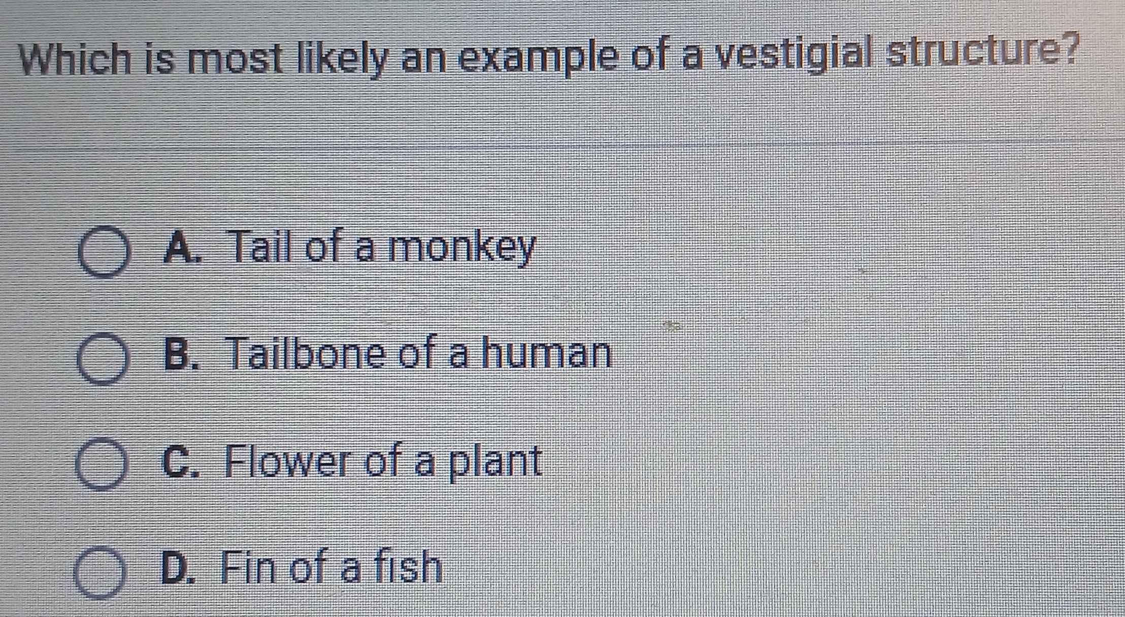 Solved: Which is most likely an example of a vestigial structure? A ...