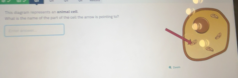 Gelöst:This diagram represents an animal cell. What is the name of the ...