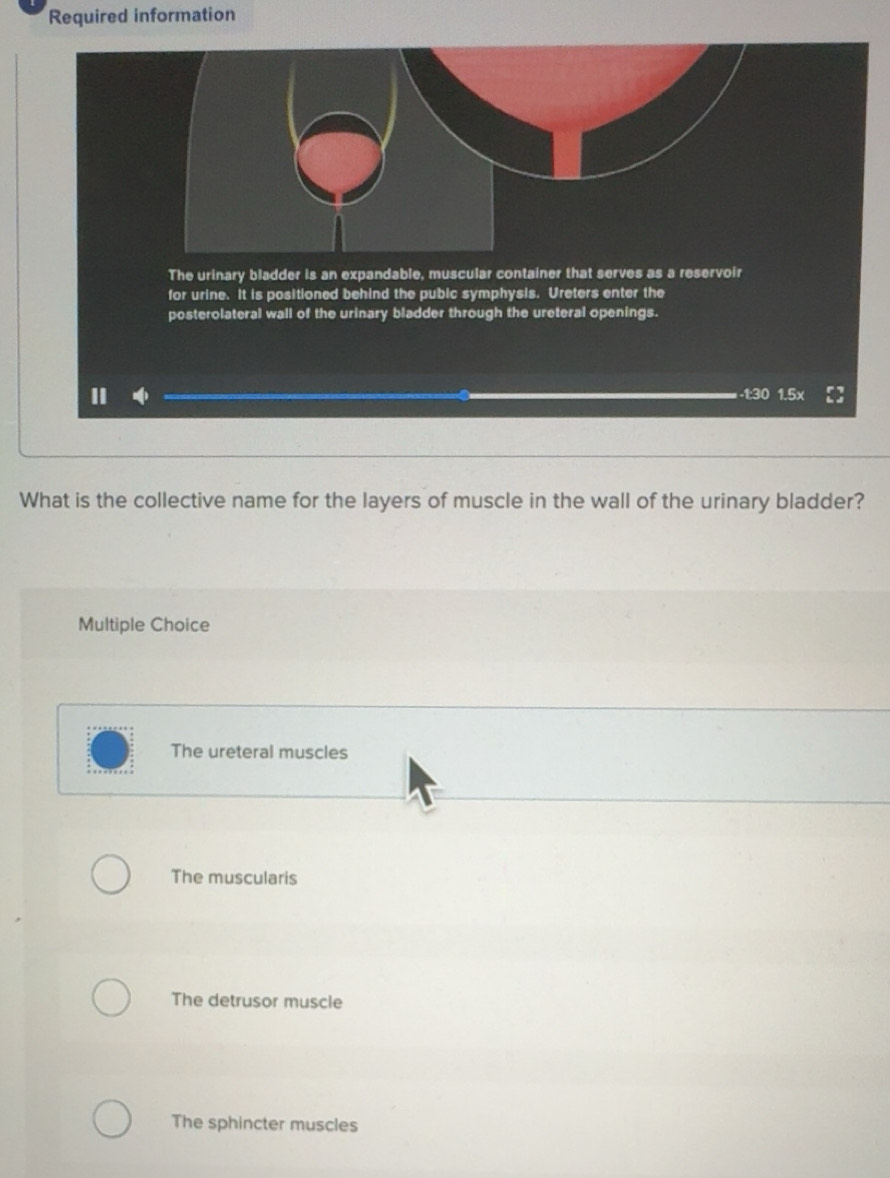 Solved: Required information What is the collective name for the layers ...
