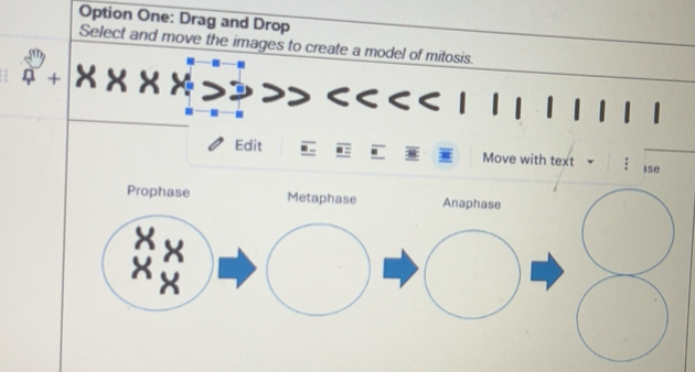 Solved: Option One: Drag and Drop Select and move the images to create ...
