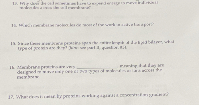 Solved: Why does the cell sometimes have to expend energy to move ...