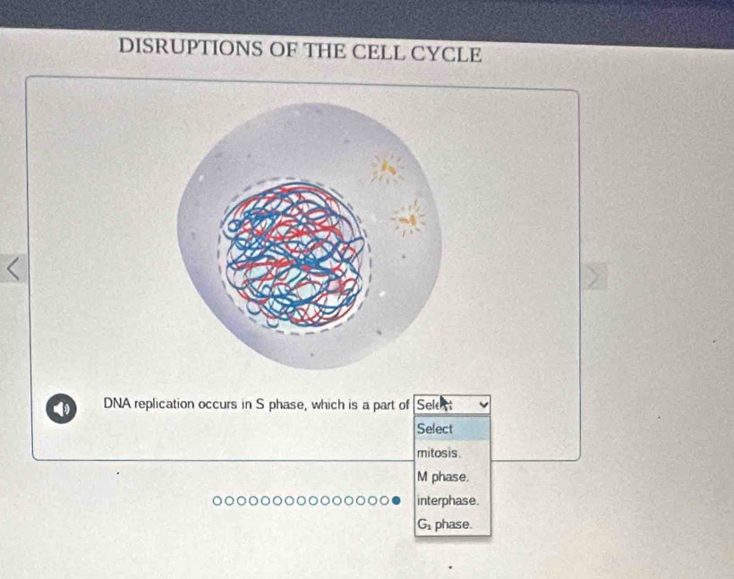 Solved: DISRUPTIONS OF THE CELL CYCLE DNA replication occurs in S phase ...