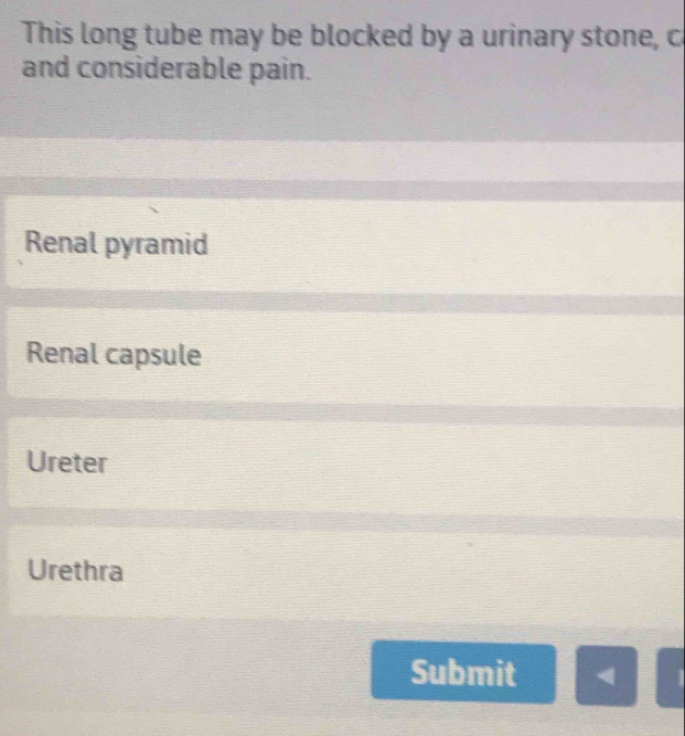 Solved: This long tube may be blocked by a urinary stone, c and ...