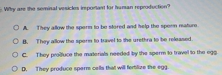 Solved: Why are the seminal vesicles important for human reproduction? A. They allow the sperm ...