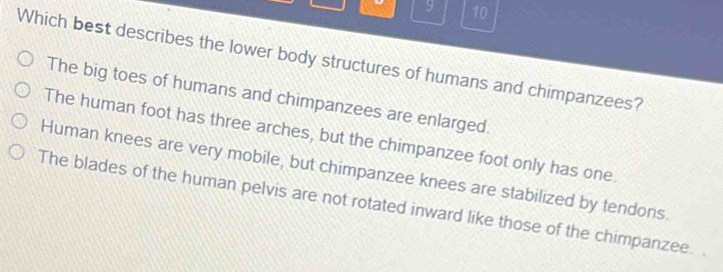Solved: 9 10 Which best describes the lower body structures of humans ...