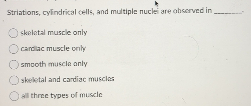 Gelöst:Striations, cylindrical cells, and multiple nuclei are observed ...