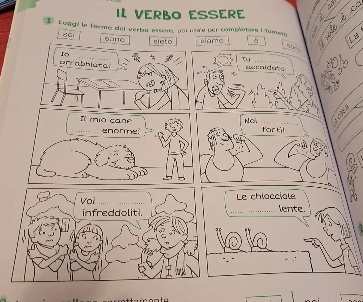 Risolto:car IL VERBO ESSERE 1 5 1 Leggi le forme del verbo essere, poi ...