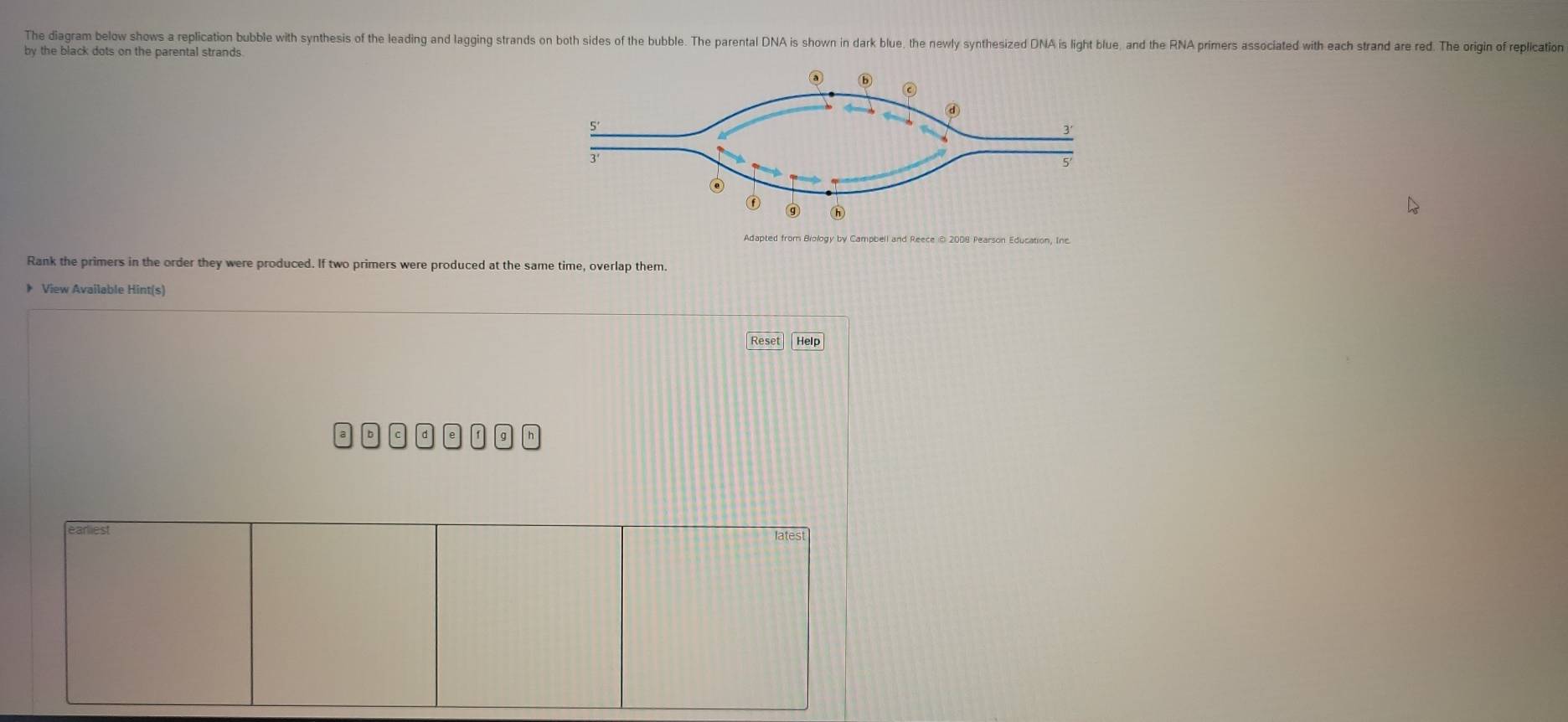 Solved: The diagram below shows a replication bubble with synthesis of ...