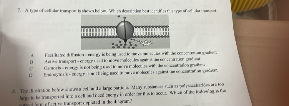 Solved: A type of cellular transport is shown below. Which description ...