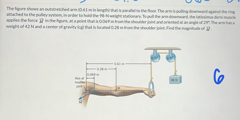 Solved: The figure shows an outstretched arm (0.61 m in length) that is ...