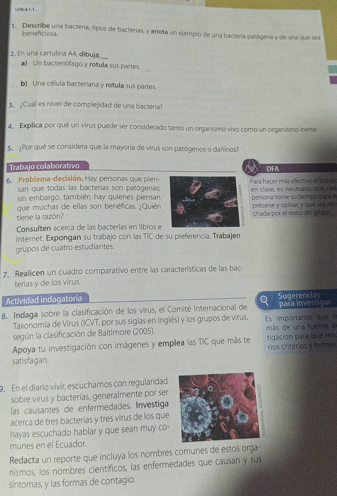 Resuelto:I,CN.4.1.1. 1. Describe una bacteria, tipos de bacterias, y ...