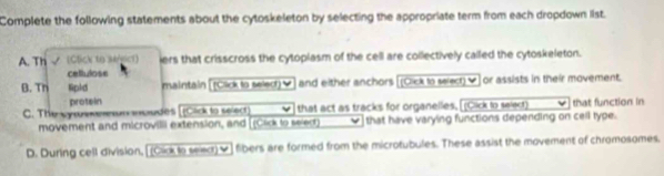 Solved: Complete the following statements about the cytoskeleton by ...
