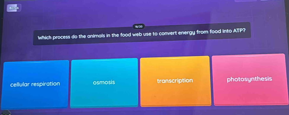 Solved: Bonus 18/20 Which process do the animals in the food web use to ...