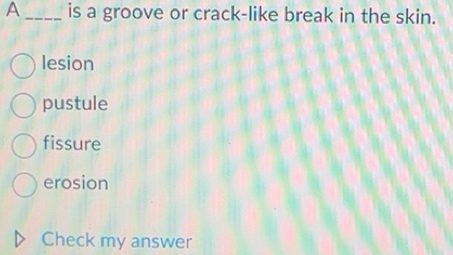 Solved: A_ is a groove or crack-like break in the skin. lesion pustule ...