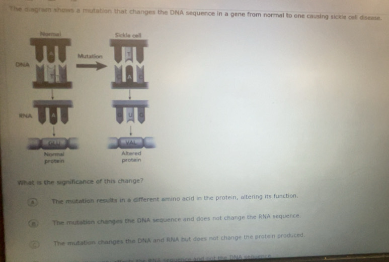 Gelöst:The diagram shows a mutation that changes the DNA sequence in a ...