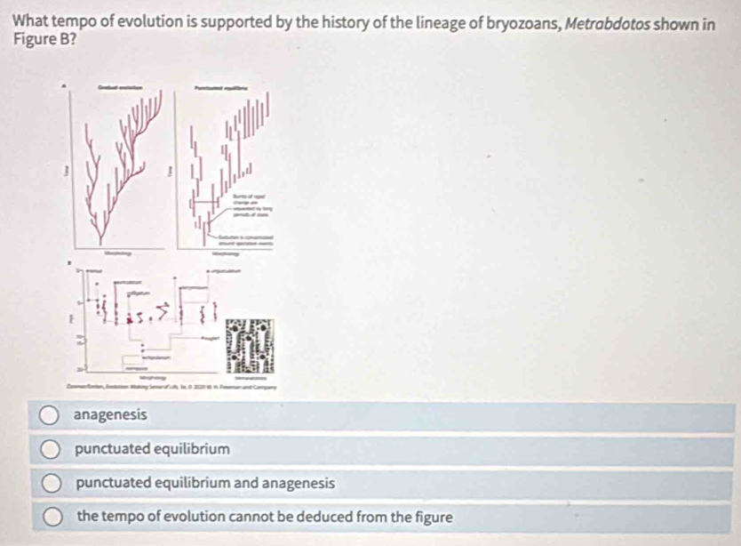 Solved: What tempo of evolution is supported by the history of the ...