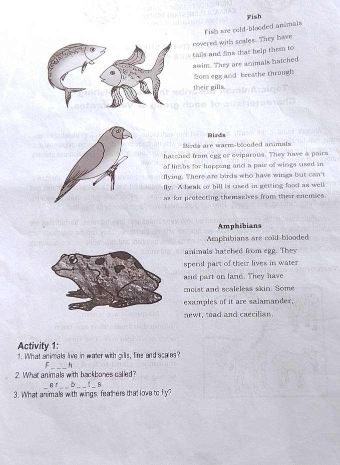 Solved: Fish Fish are cold-blooded animals covered with scales. They ...